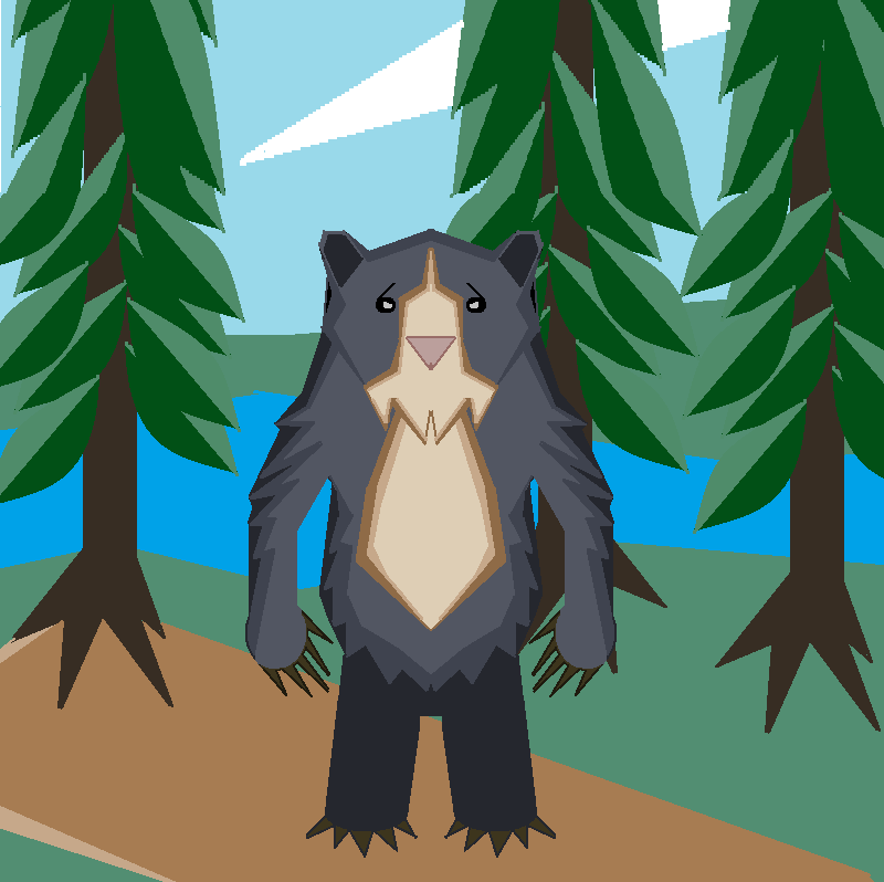 Adolfo Sánchez López - Desarrollador Web y Productor Multimedia